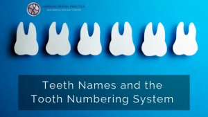 Teeth Names and the Tooth Numbering System - Harrow Dental Practice Blog